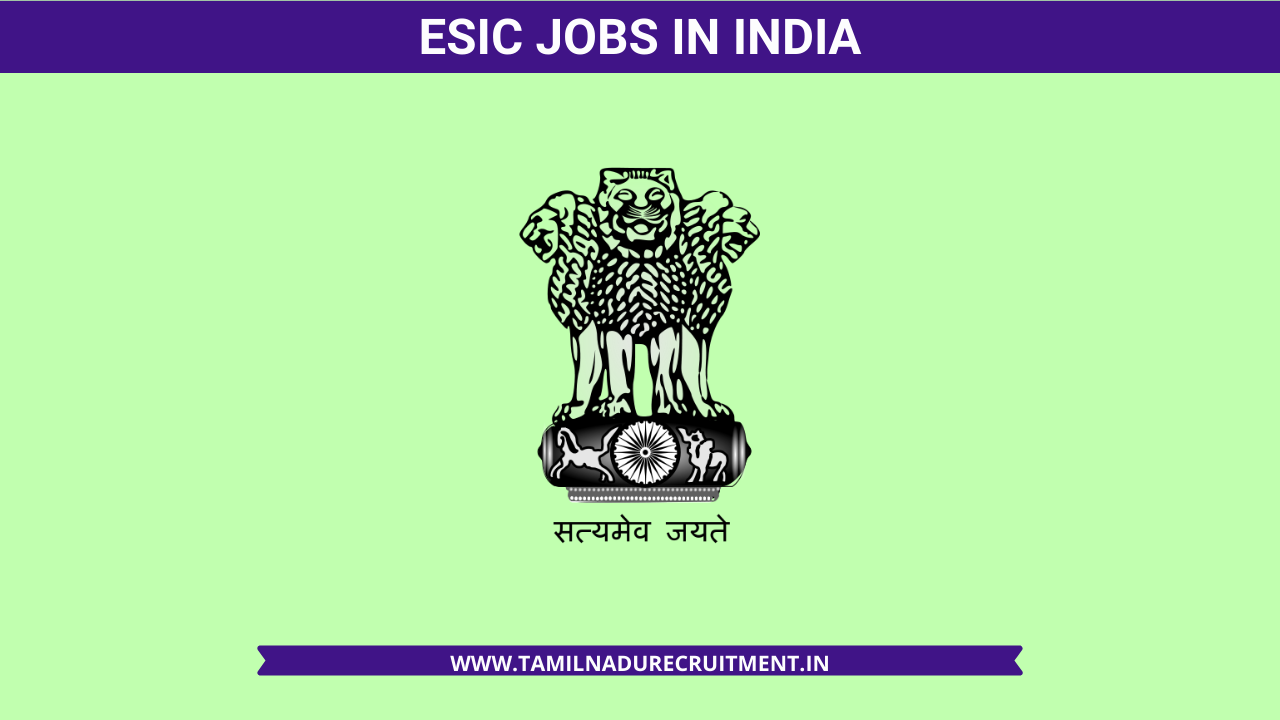 ESIC Jobs 2025 - Apply For ESIC Jobs In India