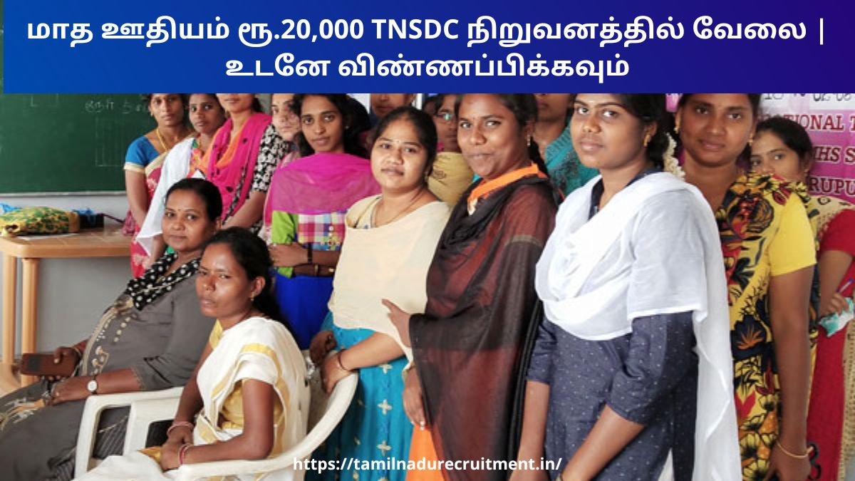 TNSDC Recruitment 2024 - 08 Project Assistant, Young Professional Vacancy
